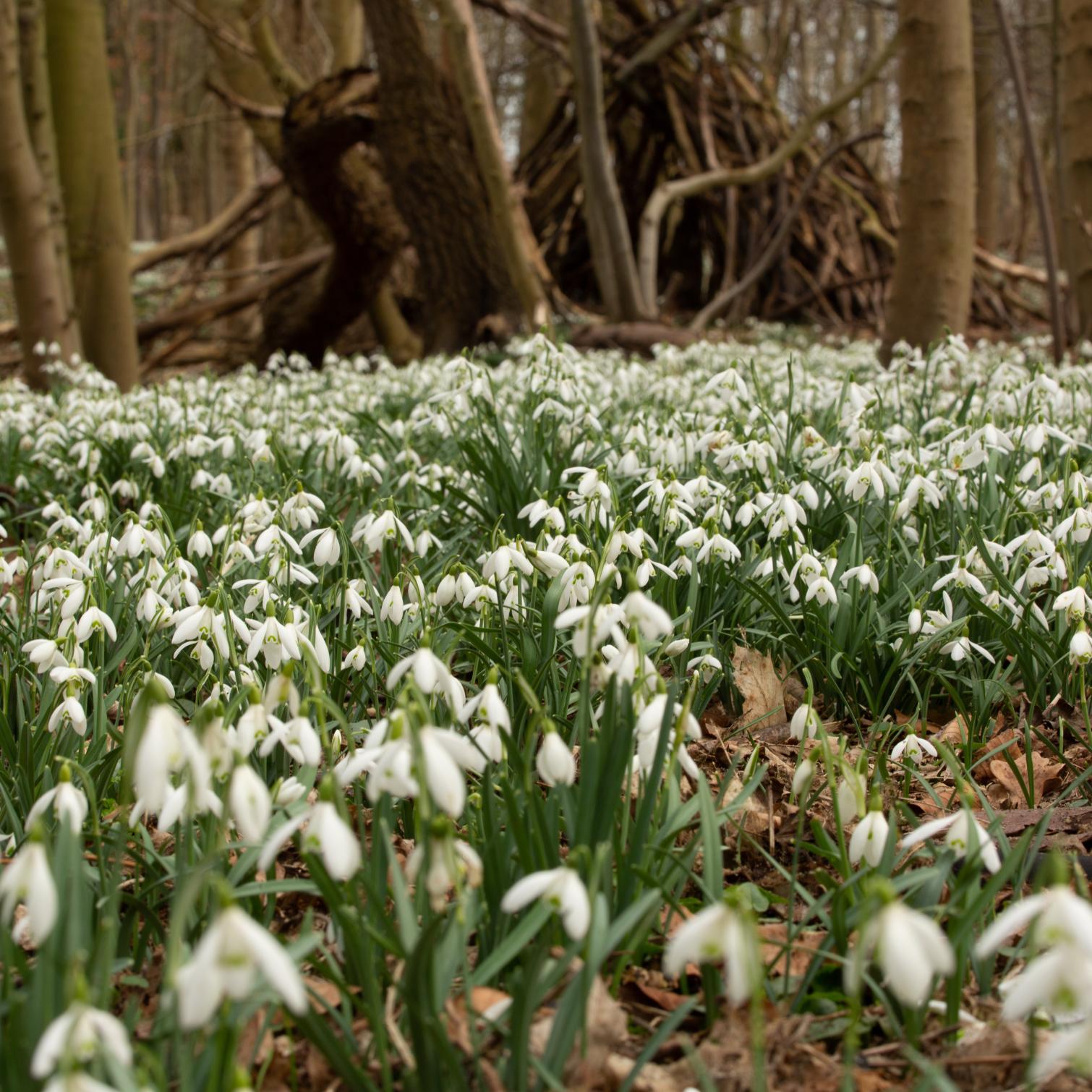 Lief en leed | Gemeente Londerzeel